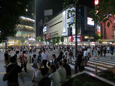 The World in a Nutshell! – Education