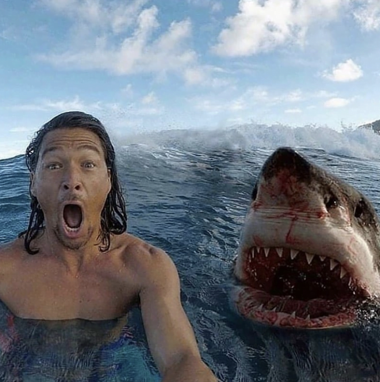 Real or Fake? Go Pro Captures Moment with Shark? | Entertainment